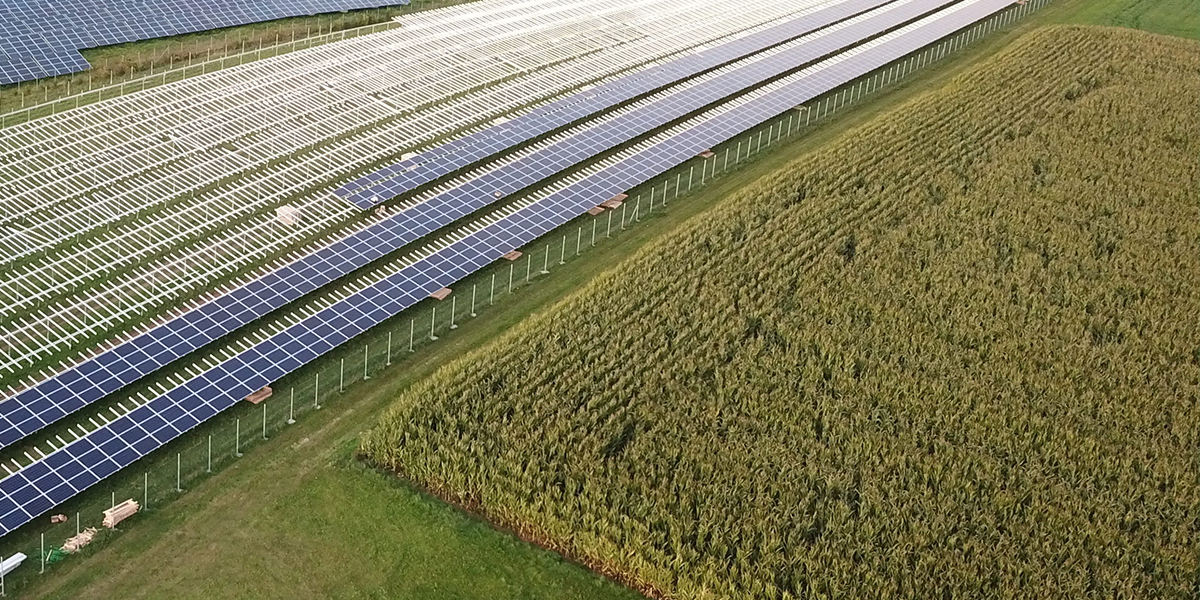 Native Economic Development | Indigenous Governance Program